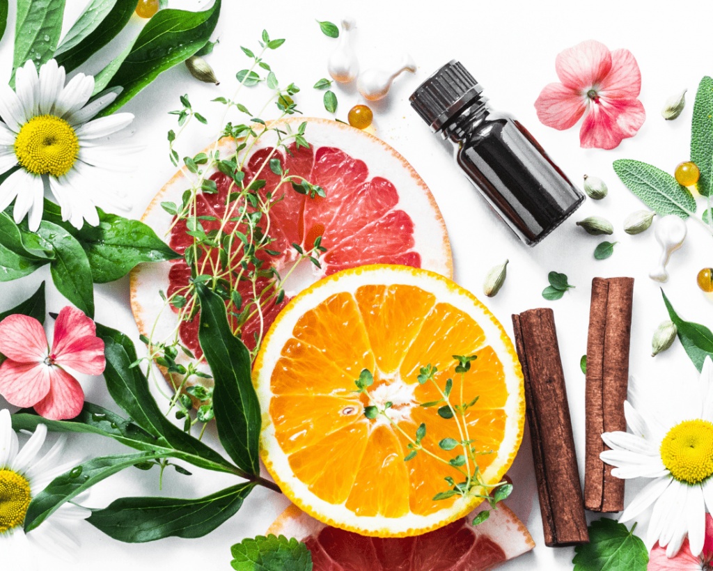 Solabia - Manufacturer of natural cosmetic ingredients