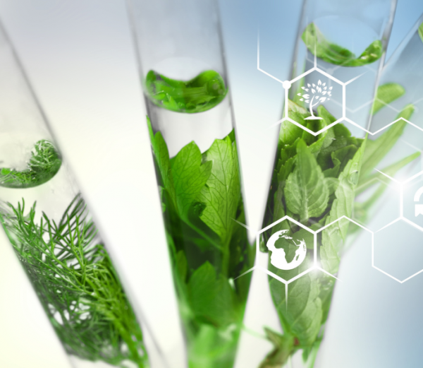 Solabia - Fabricant d'ingrédients cosmétiques naturels