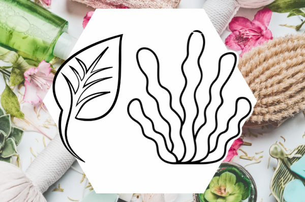 Our know-how - Solabia Cosmetics