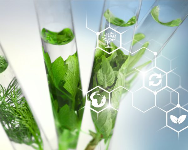 Our know-how - Solabia Cosmetics