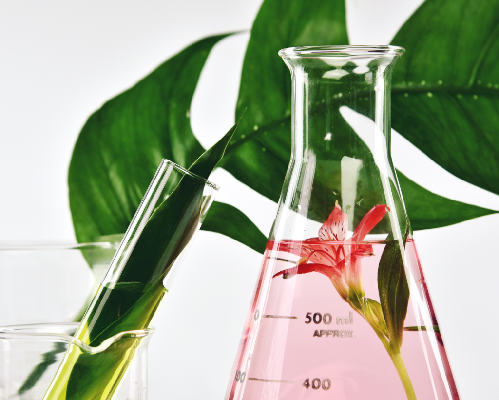 Our know-how - Solabia Cosmetics