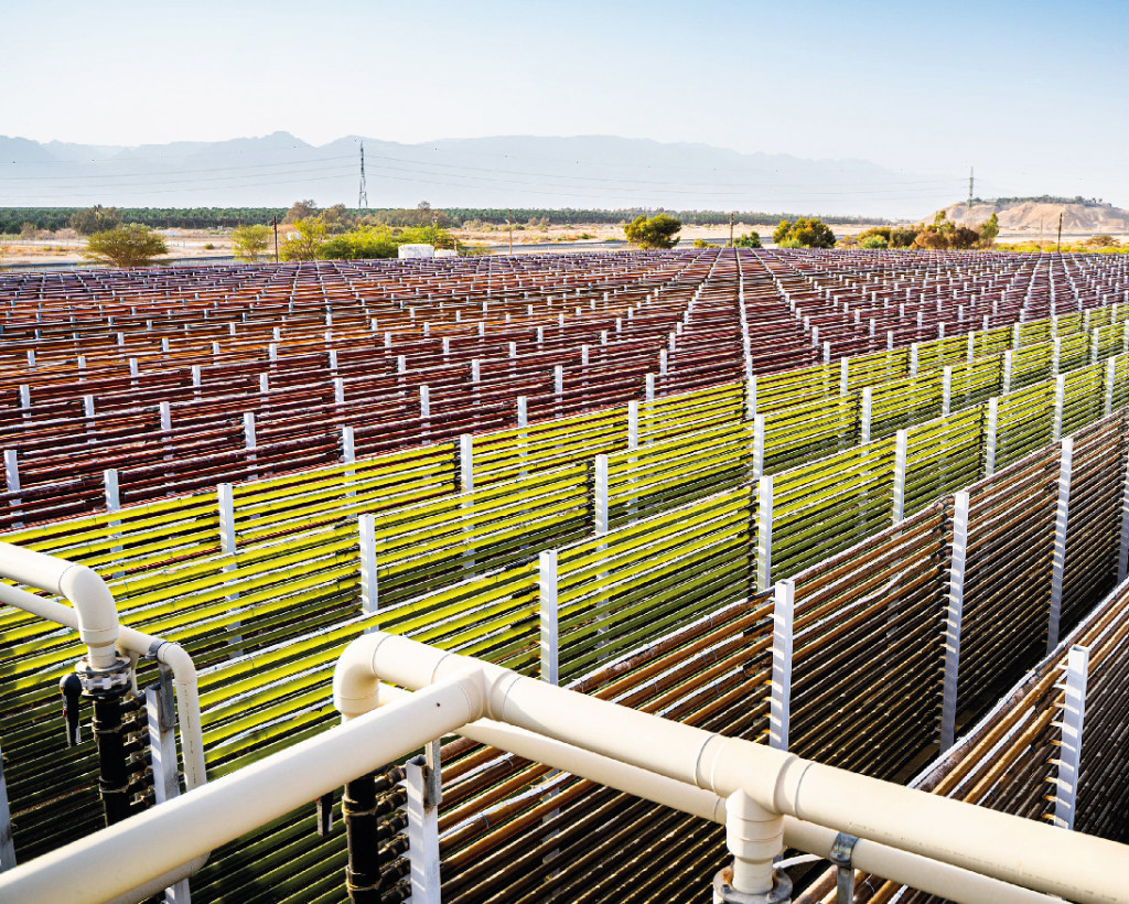 Our commitments | Solabia